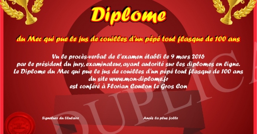 Diplome du Mec qui pue le jus de couilles d un pepe tout flasque de 100 ans