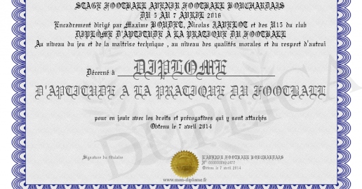 DIPLOME D APTITUDE A LA PRATIQUE DU FOOTBALL