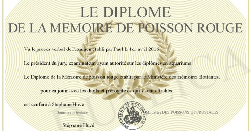 Le Diplome de la Memoire de poisson rouge