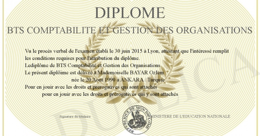 Diplome BTS Comptabilite et Gestion des Organisations