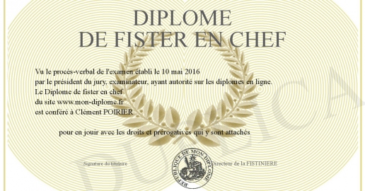 Diplome de fister en chef