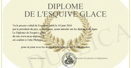 Diplome de l esquive glace