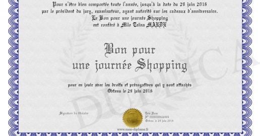 Bon pour une journee Shopping