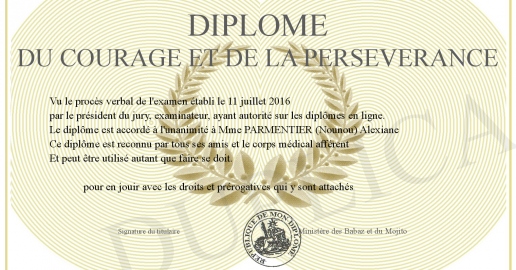 Diplome DU COURAGE ET DE LA PERSEVERANCE