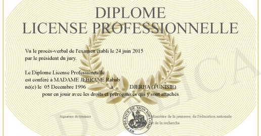 Diplome License Professionnelle