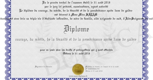 Diplome courage du merite de la tenacite et de la perseverance apres ...