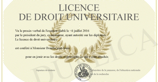 licence de droit universitaire