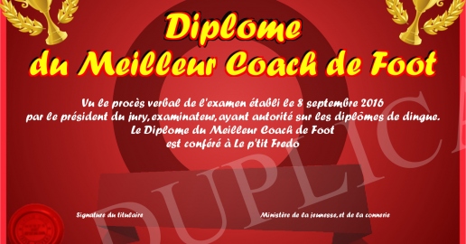 Diplome du Meilleur Coach de Foot
