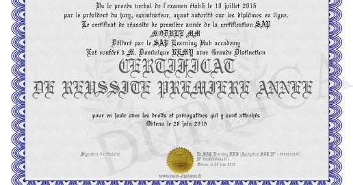 CERTIFICAT DE REUSSITE PREMIERE ANNEE