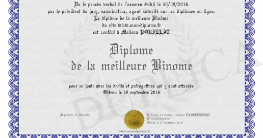 Diplome de la meilleure Binome
