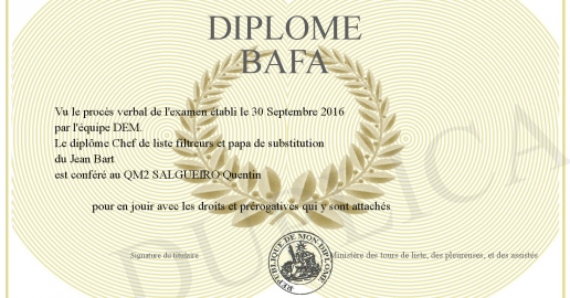 Diplome bafa