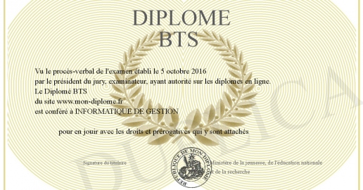 Diplome BTS
