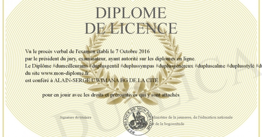 Diplome de licence