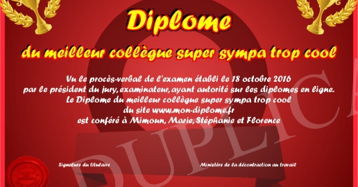 Diplome du meilleur collegue super sympa trop cool