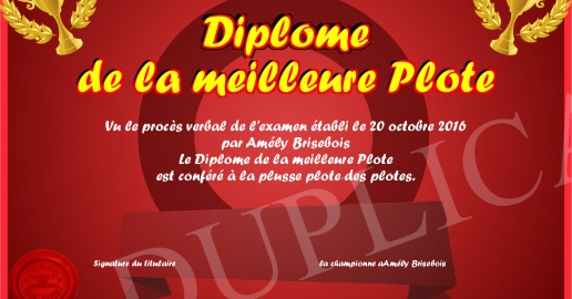 Diplome de la meilleure Plote