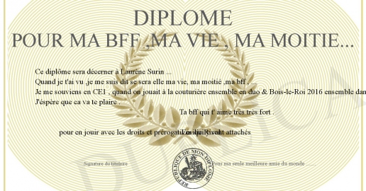 Diplome pour ma bff ma vie ma moitie...