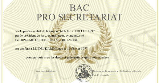 BAC PRO SECRETARIAT