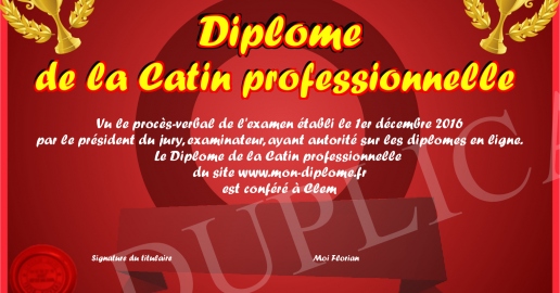 Diplome de la Catin professionnelle