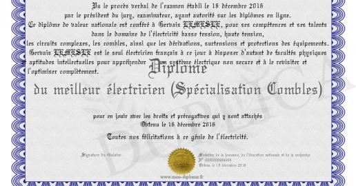Diplome du meilleur electricien (Specialisation Combles)