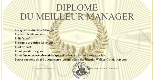 Diplome du Meilleur Manager