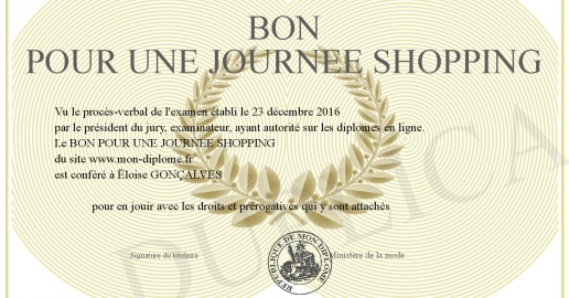 BON POUR UNE JOURNEE SHOPPING