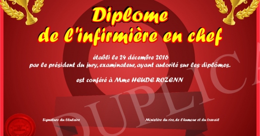 Diplome de l infirmiere en chef
