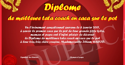 Diplome de meilleure tata coach en caca sur le pot