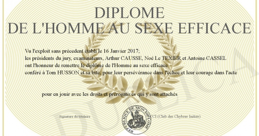 Diplome de l Homme au sexe efficace