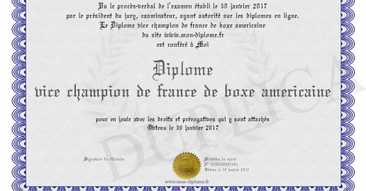 Diplome vice champion de france de boxe americaine