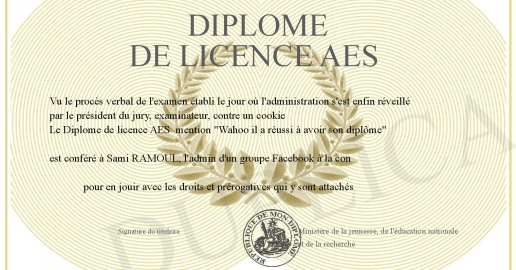 Diplome de licence AES