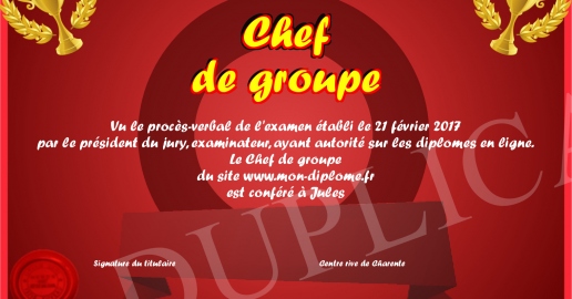Chef de groupe