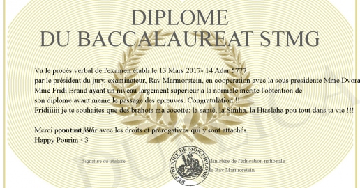 Diplome du baccalaureat STMG