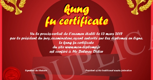 kung fu certificate