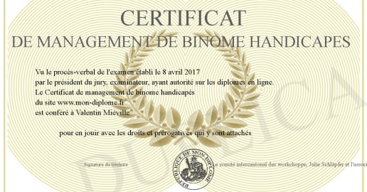 Certificat de management de binome handicapes