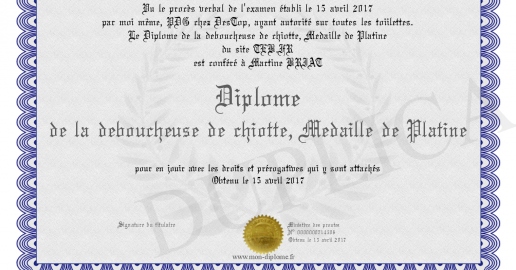 Diplome de la deboucheuse de chiotte Medaille de Platine
