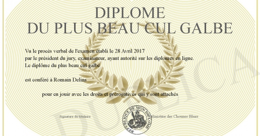 Diplome du plus beau cul galbe