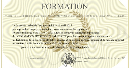 FORMATION HYGIENE ET SALUBRITE pour les personnes qui mettent en oeuvre ...