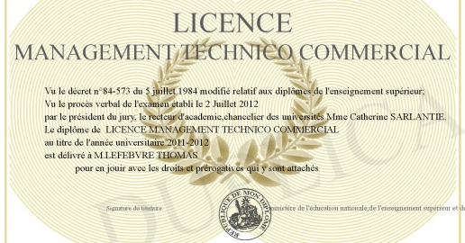 LICENCE MANAGEMENT TECHNICO COMMERCIAL