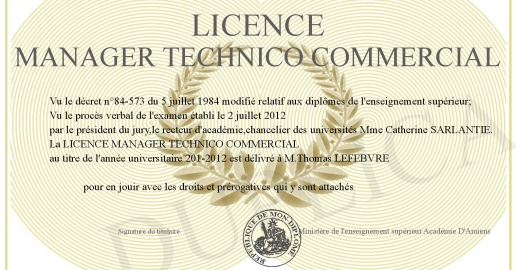 LICENCE MANAGER TECHNICO COMMERCIAL