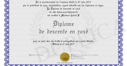 Diplome de descente en rose