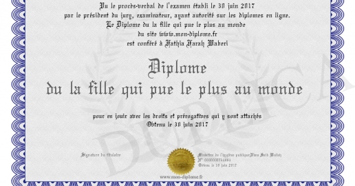 Diplome du la fille qui pue le plus au monde