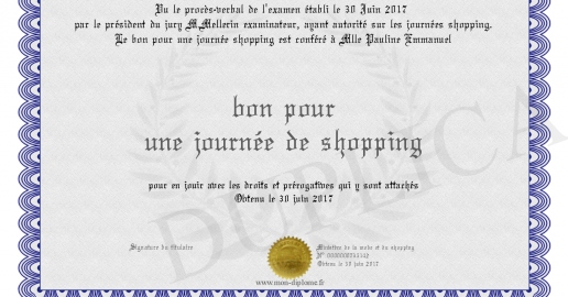 bon pour une journee de shopping