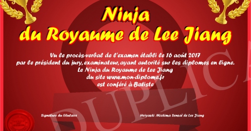 Ninja du Royaume de Lee Jiang
