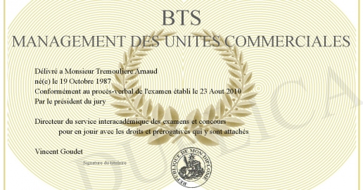 BTS MANAGEMENT DES UNITES COMMERCIALES