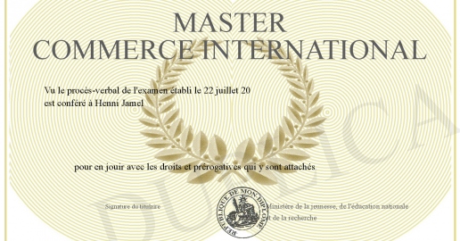 Master commerce international