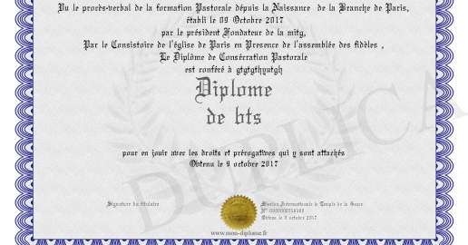 Diplome de bts