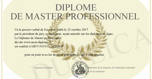 Diplome de Master professionnel