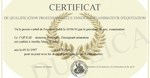 Certificat de Qualification Professionnelle Enseignant Animateur d Équitation