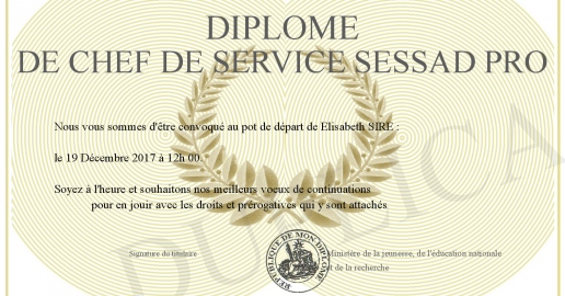Diplome de Chef de Service SESSAD Pro