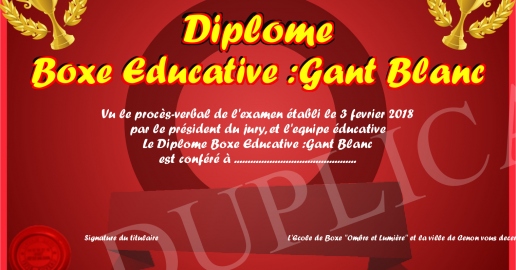 Diplome Boxe Educative :Gant Blanc